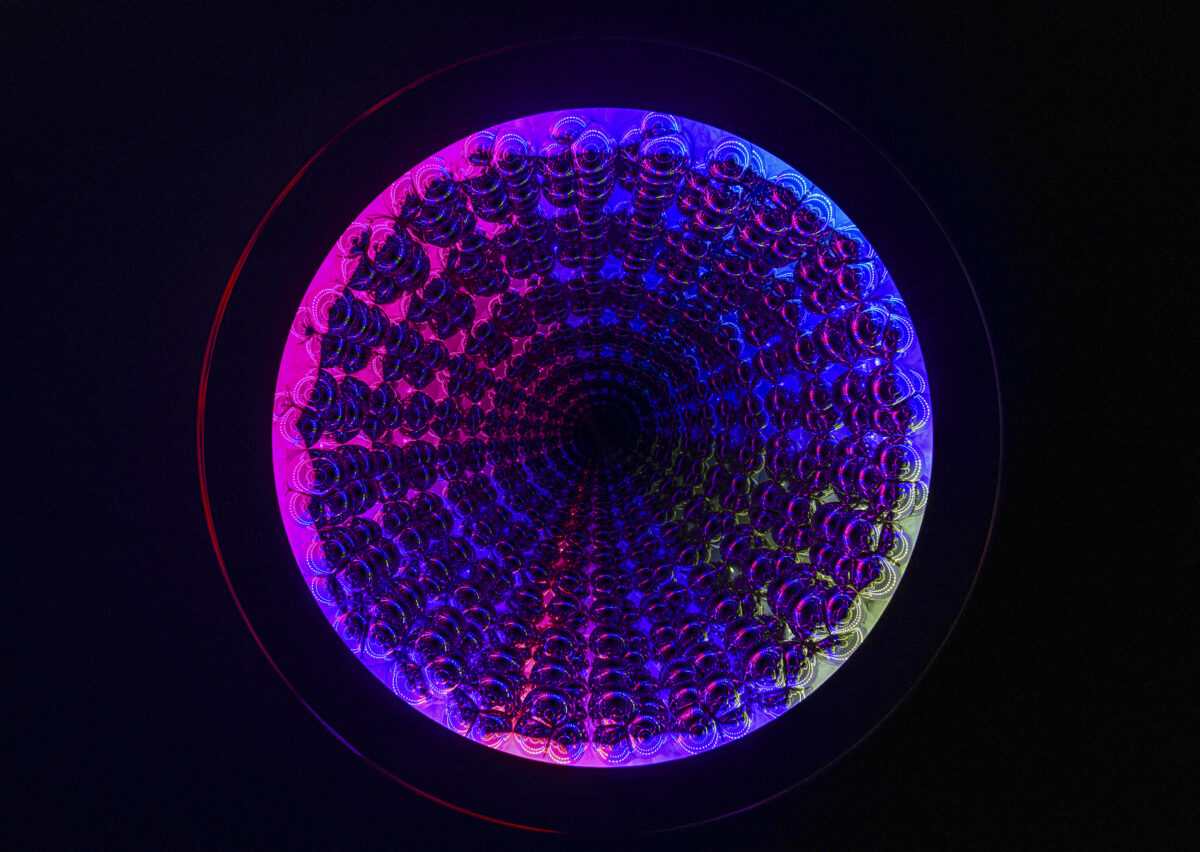 Coming in Hot: Minhi England | AMM NextGen